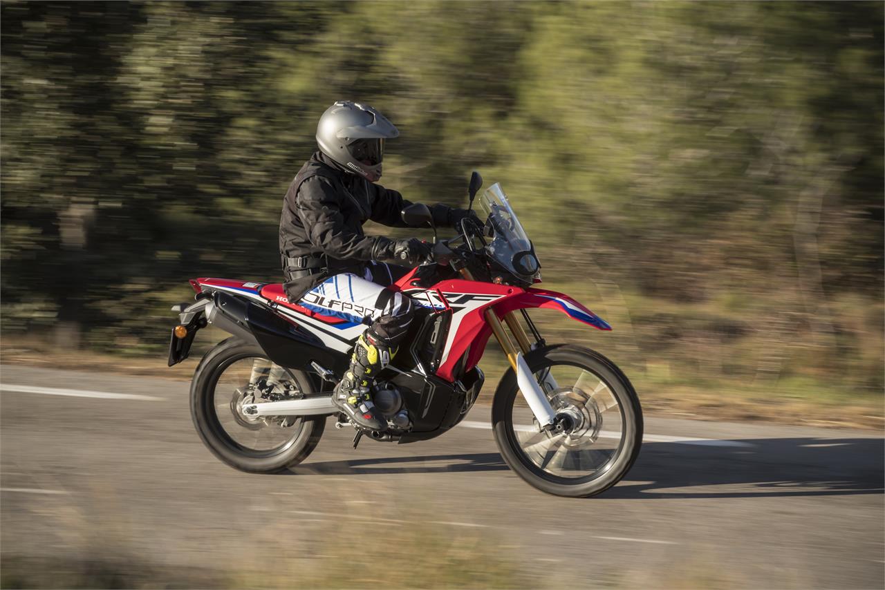 Honda CRF 250 Rally: Pequeña gran aventurera | Noticias motos.net