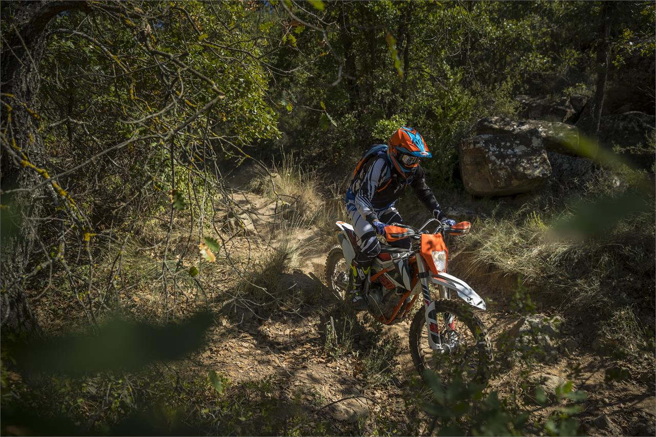 KTM Freeride 250 F: Ready to fun | Noticias | Motos.net