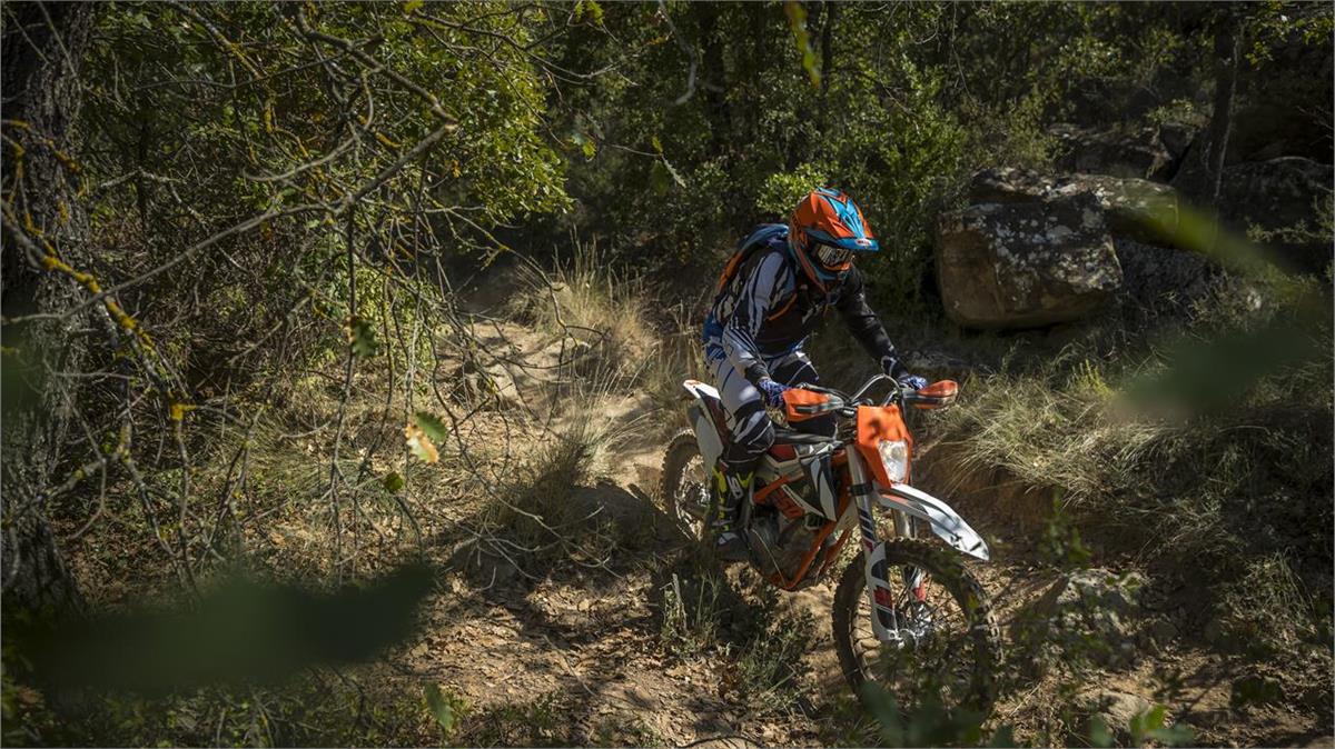 KTM Freeride 250 F: "Ready to fun" | Noticias motos.net