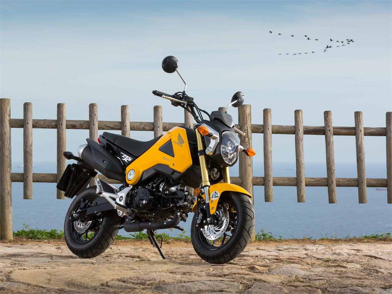 Honda MSX 125 | Noticias motos.net