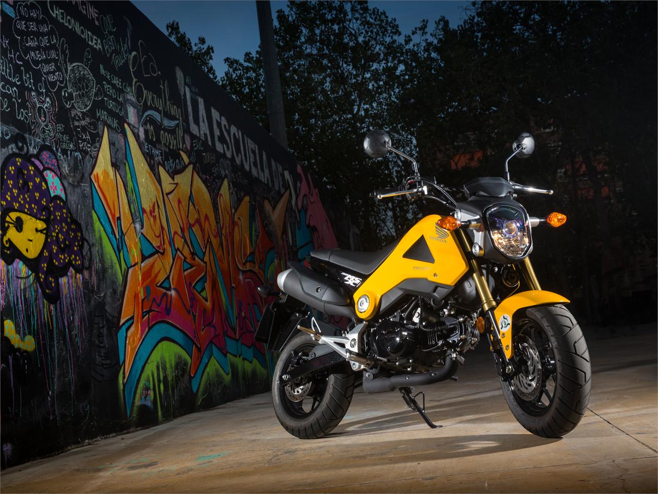 Honda MSX 125 | Noticias motos.net