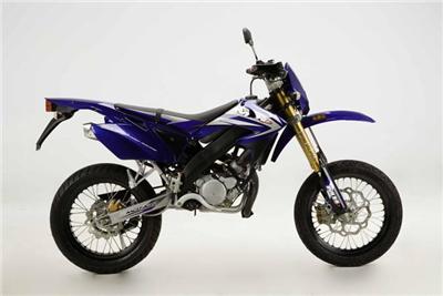 Ficha técnica y precio de MOTORHISPANIA RYZ %{version} GASOLINA 2006 ...