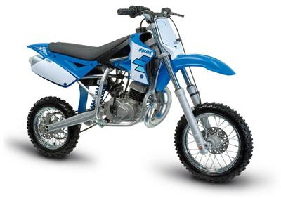 Fichas técnicas y precios de POLINI por modelo | Motos.net