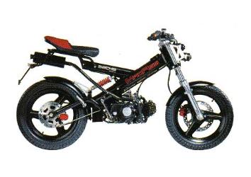 Ficha técnica y precio de SACHSBIKES MADASS 50 GASOLINA 2006 | Motos.net